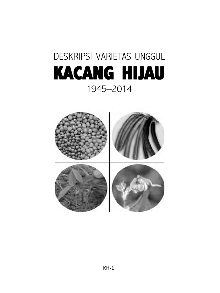 Deskripsi Varietas Kacang Hijau | PDF