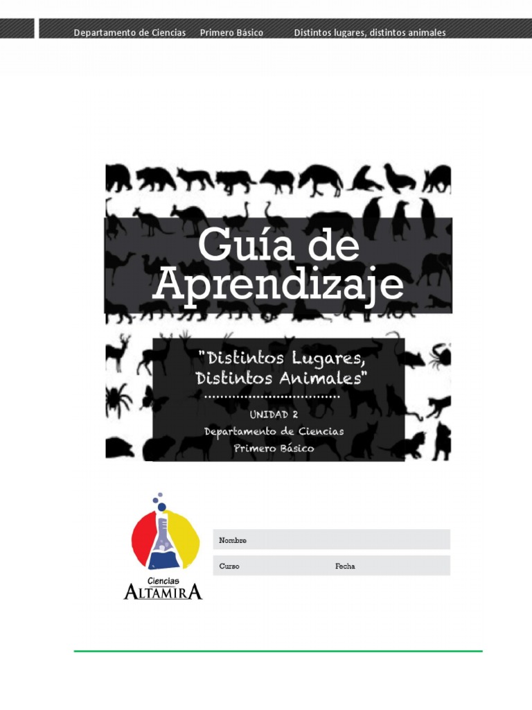 1°basico - Guia - Animales Chilenos | PDF | Habitat | Esqueleto