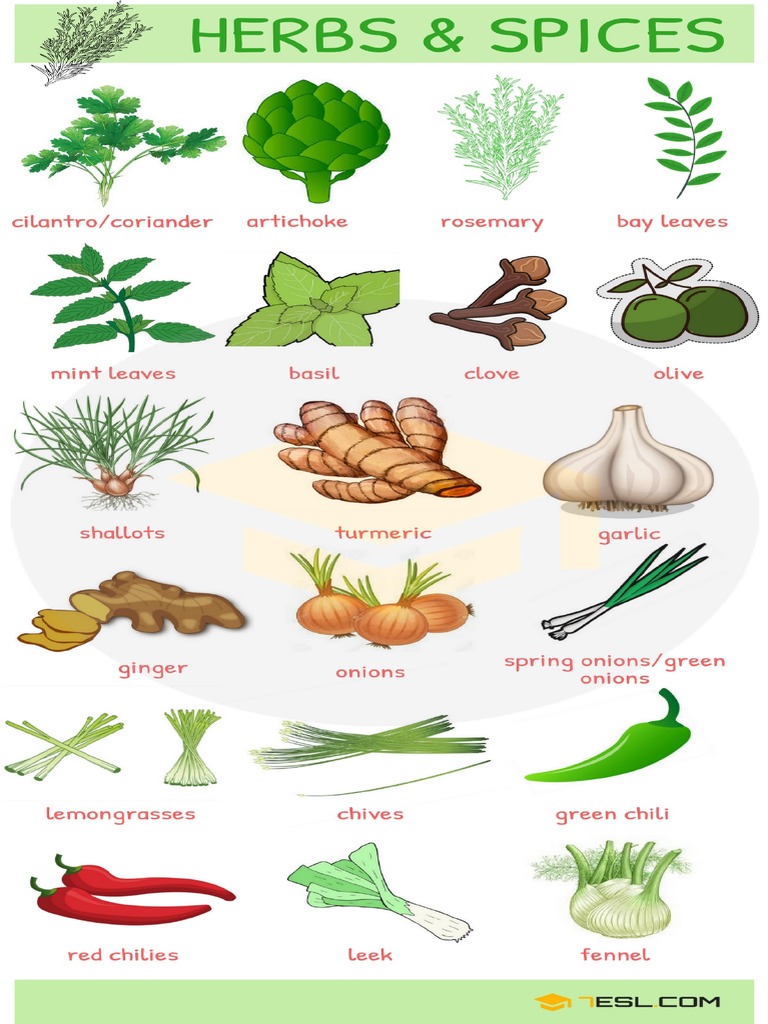 Herbs Spices Vocabulary | PDF
