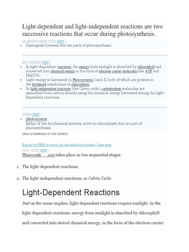Breaking Down the Process: An In-Depth Explanation of the Light ...
