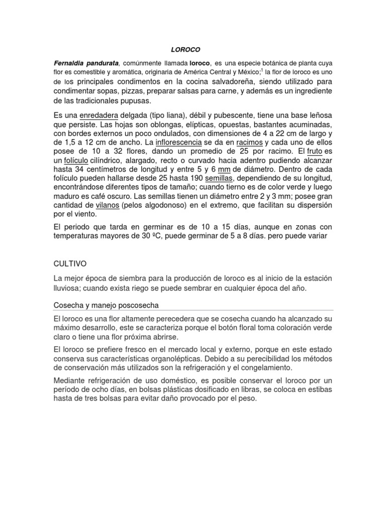 Uso y cultivo del loroco en México | PDF | Alimentos | Cocina