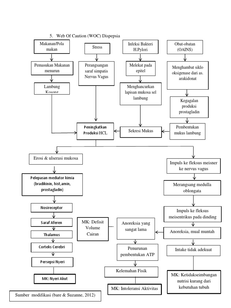 Web of Caution | PDF | Human Anatomy