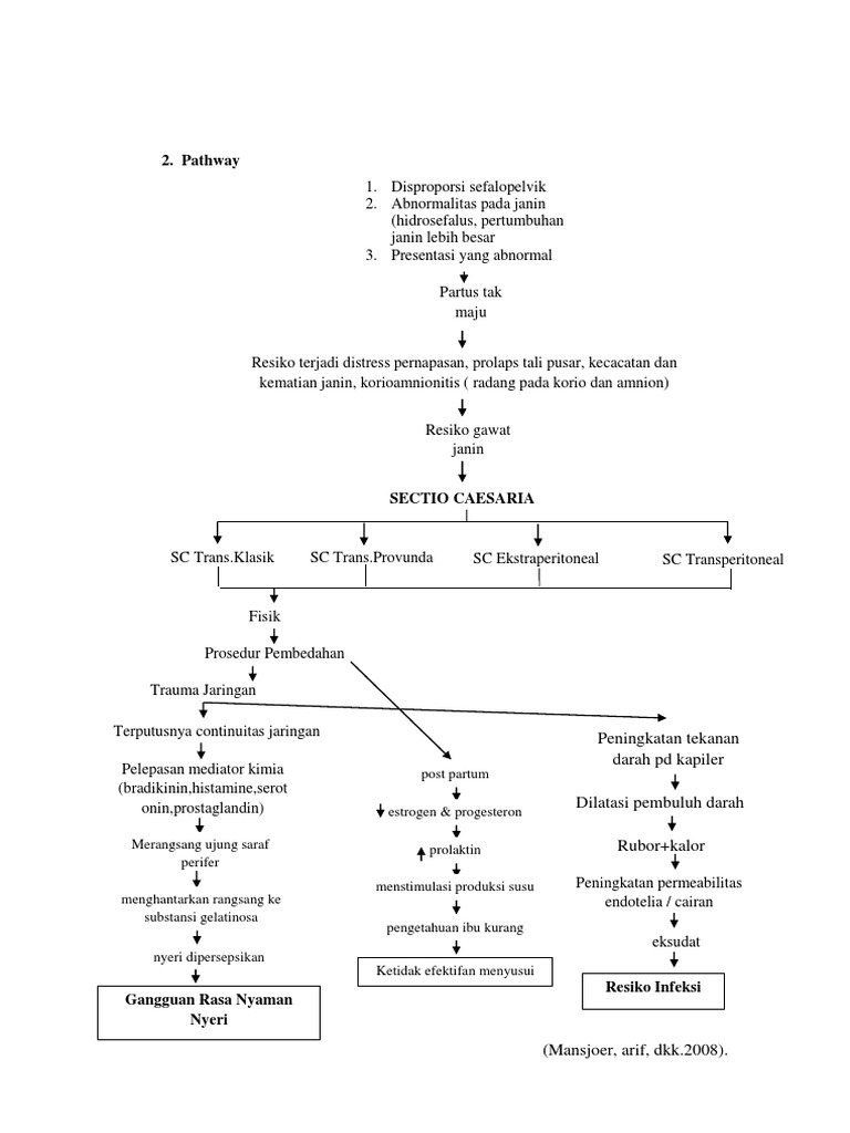 Pathway: Peningkatan Tekanan Darah PD Kapiler | PDF
