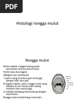 Anatomi Rongga Mulut Manusia | PDF