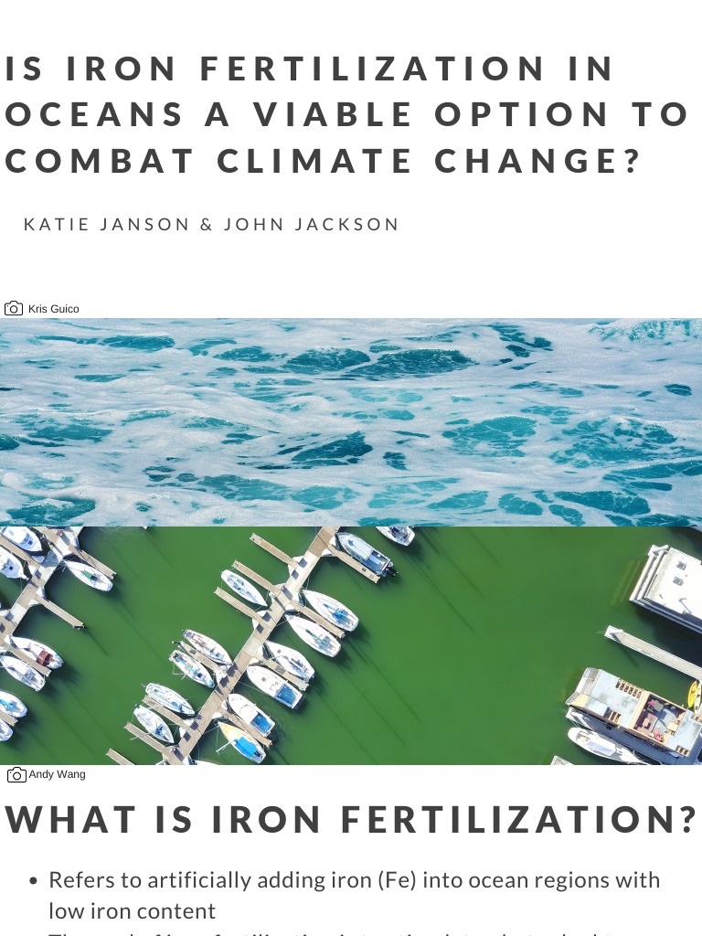 Iron Fertilization Presentation Final Draft | PDF | Oceanography ...