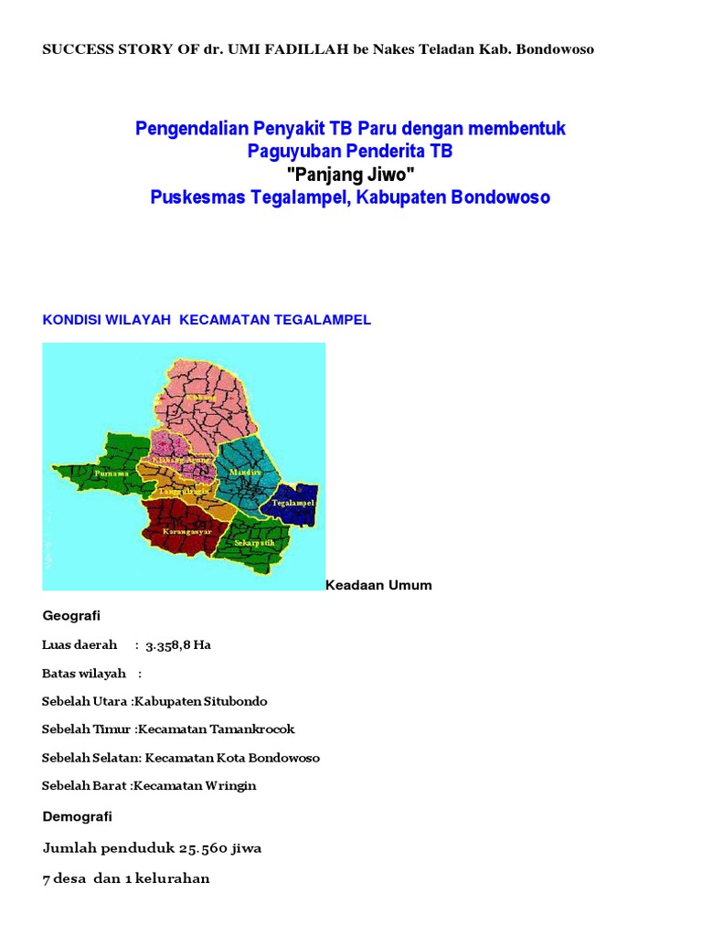 Contoh Sukses Story | PDF