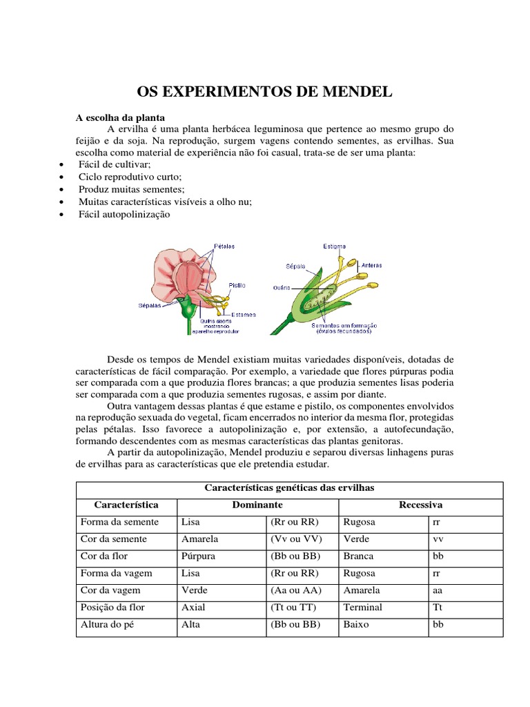 Os Experimentos de Mendel | Dominância (Genética) | Genética