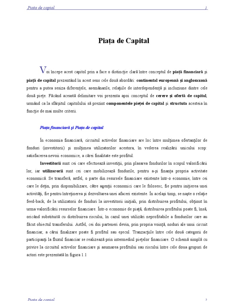 Piata de Capital | PDF
