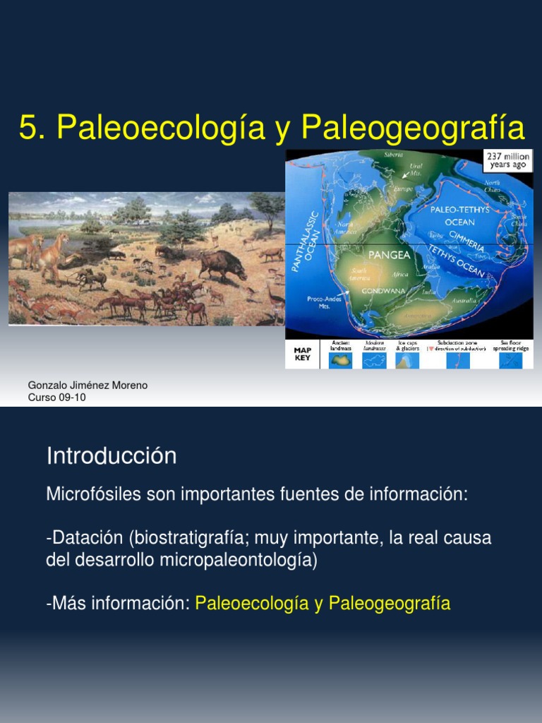 Paleogeografía y Paleoecología: Definiciones y Estudio | PDF | Fósil ...