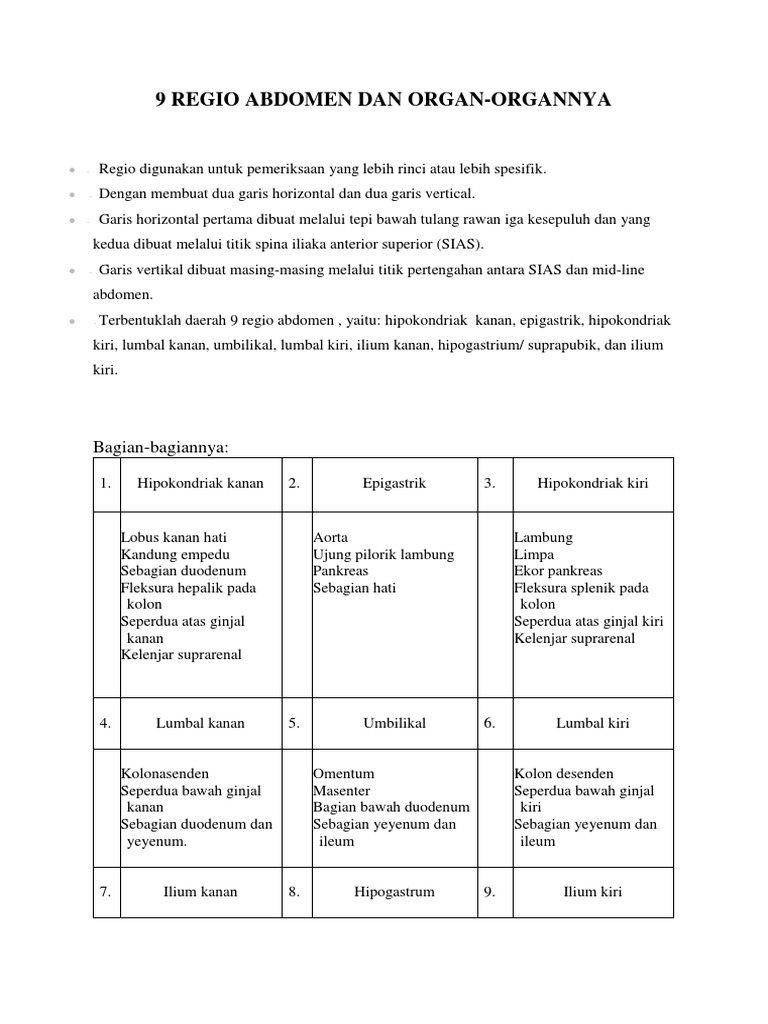 9 Regio Abdomen Dan Organ | PDF