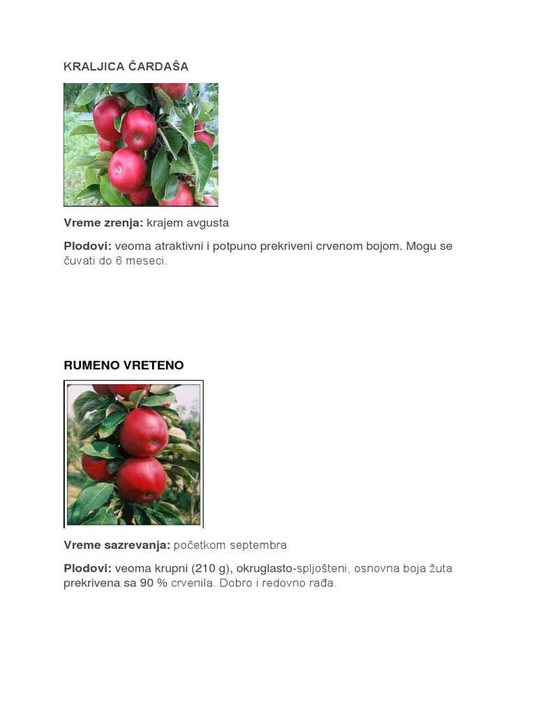 Stubaste Jabuke | PDF