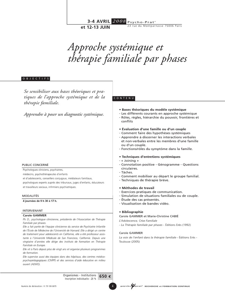 Approche Systémique Et Thérapie Familiale Par Phases | PDF ...