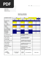 Model Decont de Cheltuieli | PDF