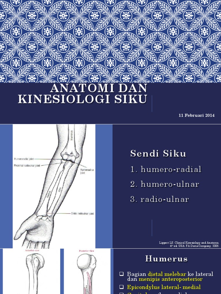 Anatomi Dan Kinesiologi Siku | PDF