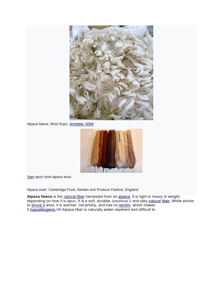 Science Holiday Homework | PDF