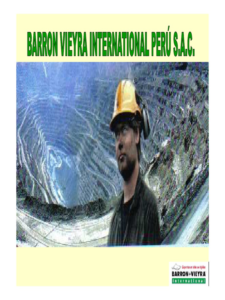 Barron Vieyra Productos | PDF | Residuos | Contaminación