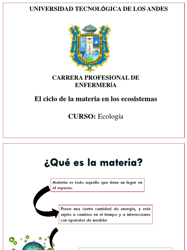 Ciclo de La Materia en El Ecosistema | PDF | Nitrógeno | Organismos