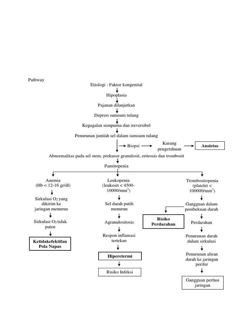 Pathway Anemia | PDF