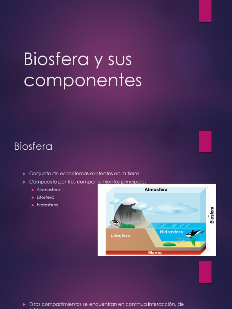 Biosfera y Sus Componentes | PDF | Placas tectónicas | Tierra