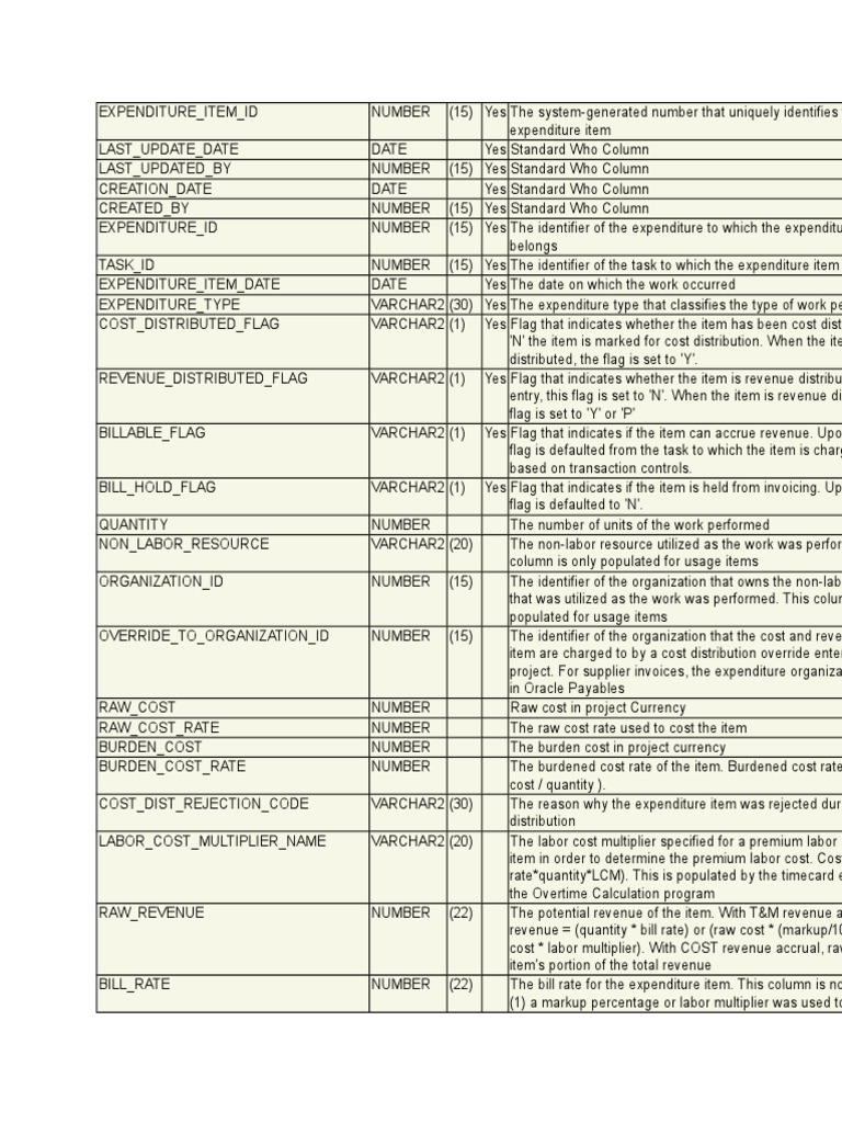 Oracle Project Pa_expenditure_items_all Table Description | Invoice ...