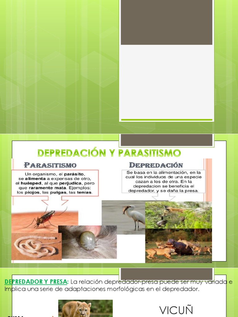 Depredacion y Parasitismo | PDF | Depredación | Organismos