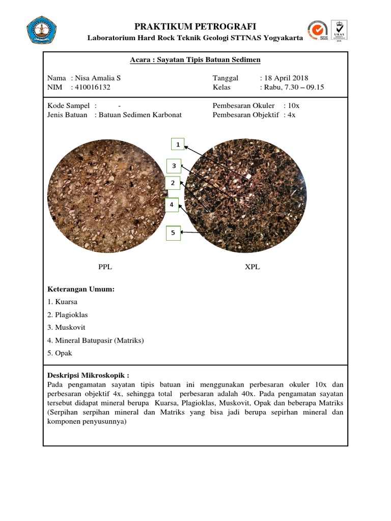 Sayatan Tipis Sedimen | PDF