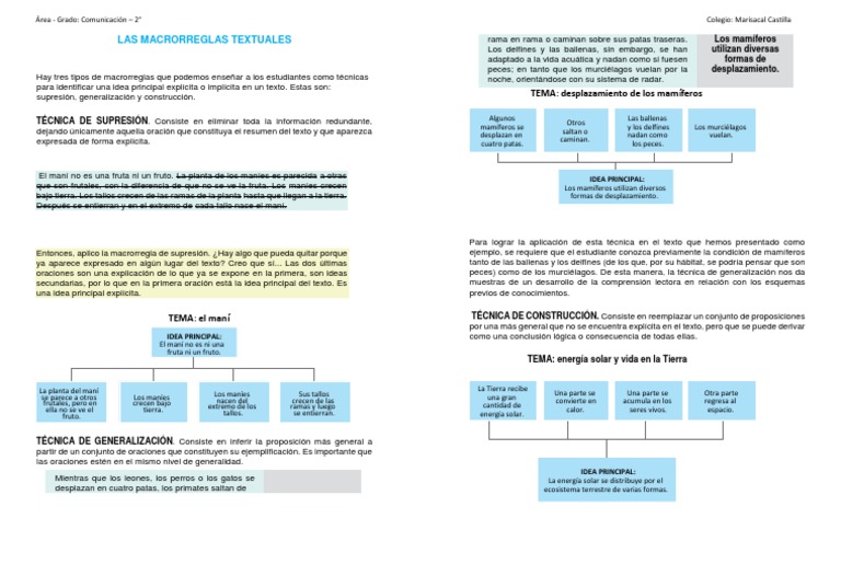 Macrorreglas Textuales - 8 | PDF | Mamíferos | Murciélago