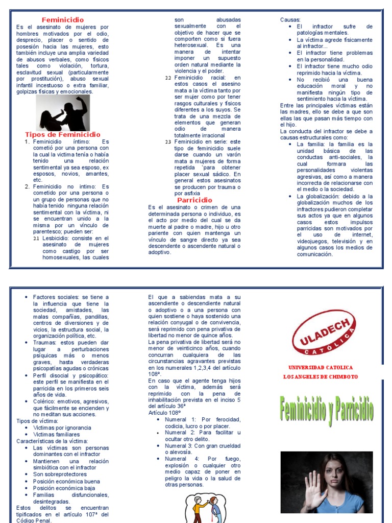 TRIPTICO Feminicidio | PDF | Violencia | Crimen y violencia