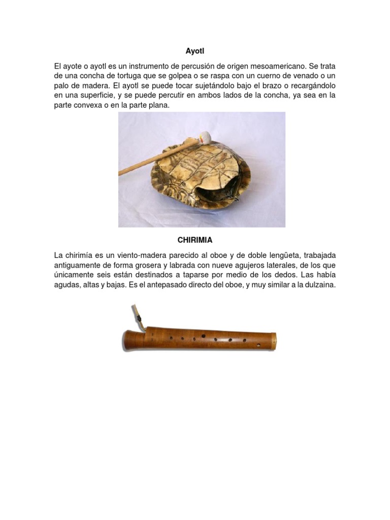 Instrumento Ayotl: Percusión Mesoamericana | PDF | Instrumentos ...