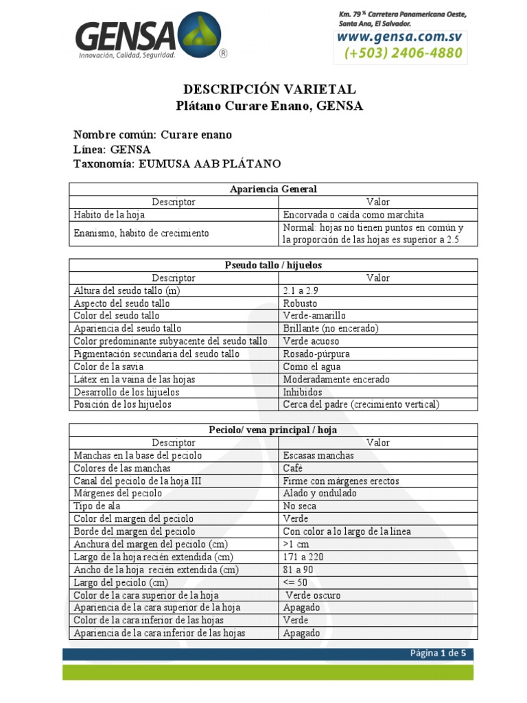 Características del Plátano Curare Enano | PDF | Flores | Hoja