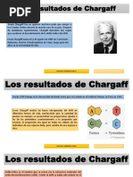 Leyes de Chargaff en el ADN | PDF | Adn | Biomoléculas