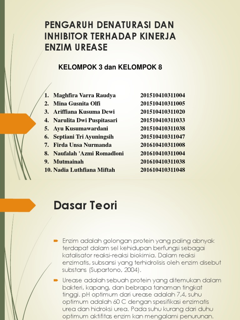 Pengaruh Denaturasi Dan Inhibitor Terhadap Kinerja Enzim Urease 3 | PDF