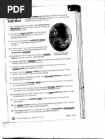 Vocabulary Workshop - Level C - Unit 4 Key | PDF