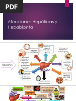 0791-8d3 Hepadial | PDF | Vitamina B12 | Medicamentos con receta