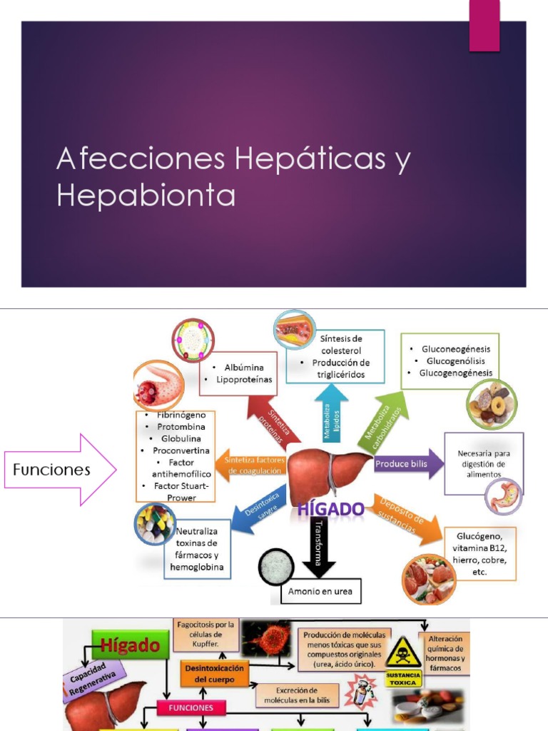Afecciones Hepáticas y Hepabionta | PDF | Hepatitis | Cirrosis
