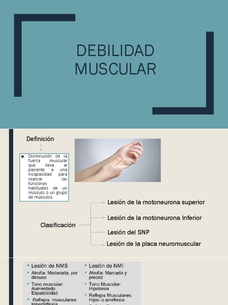 Debilidad Muscular | PDF | Neurona motora | Sistema nervioso