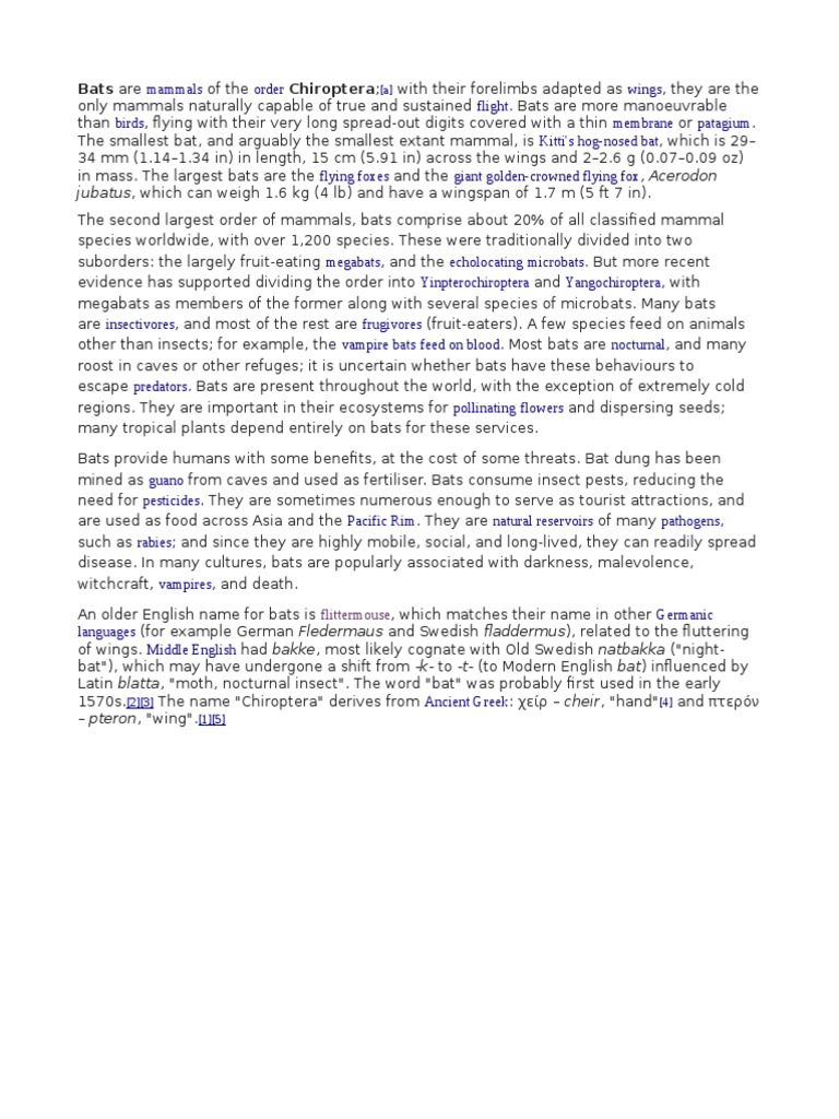 Bats | PDF | Bat | Circulatory System