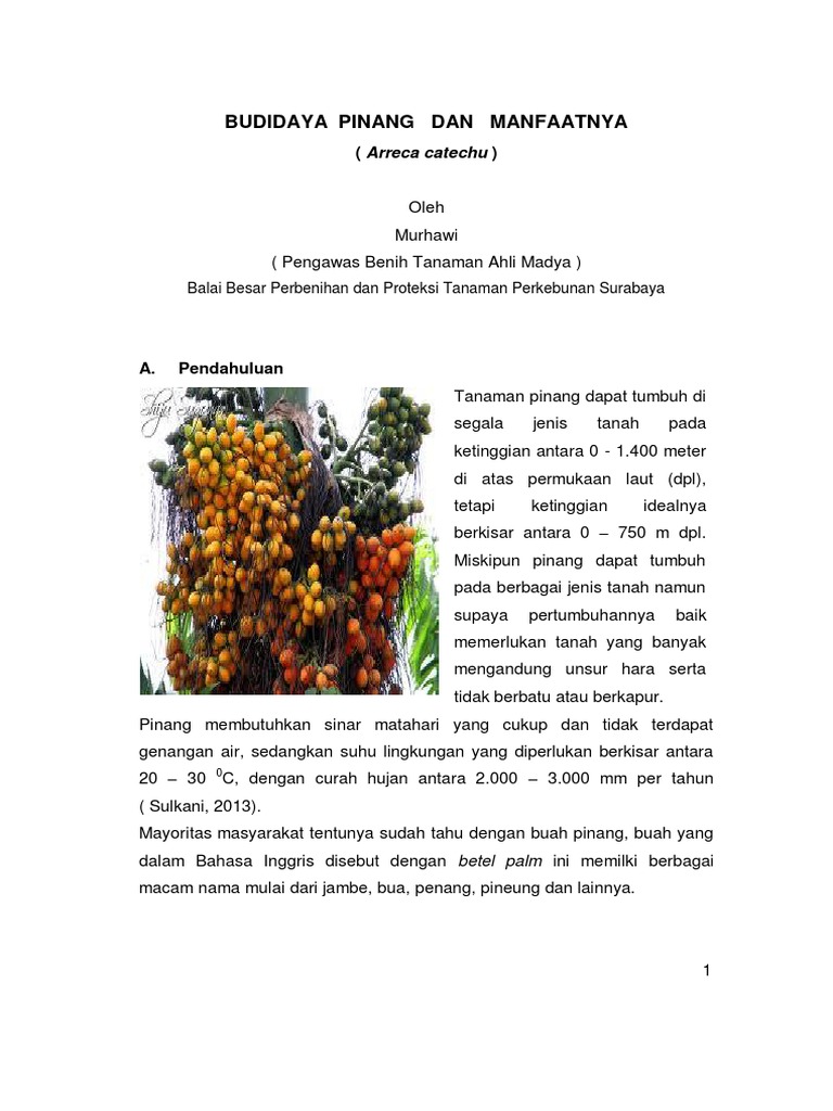 Tulisan Pinang | PDF