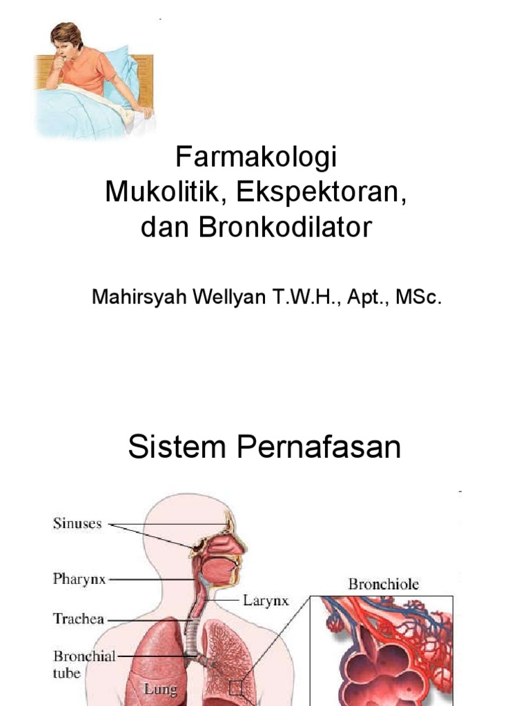Farmakologi Mukolitik Ekspektoran, Bronkodilator PDF | PDF | Kesehatan ...
