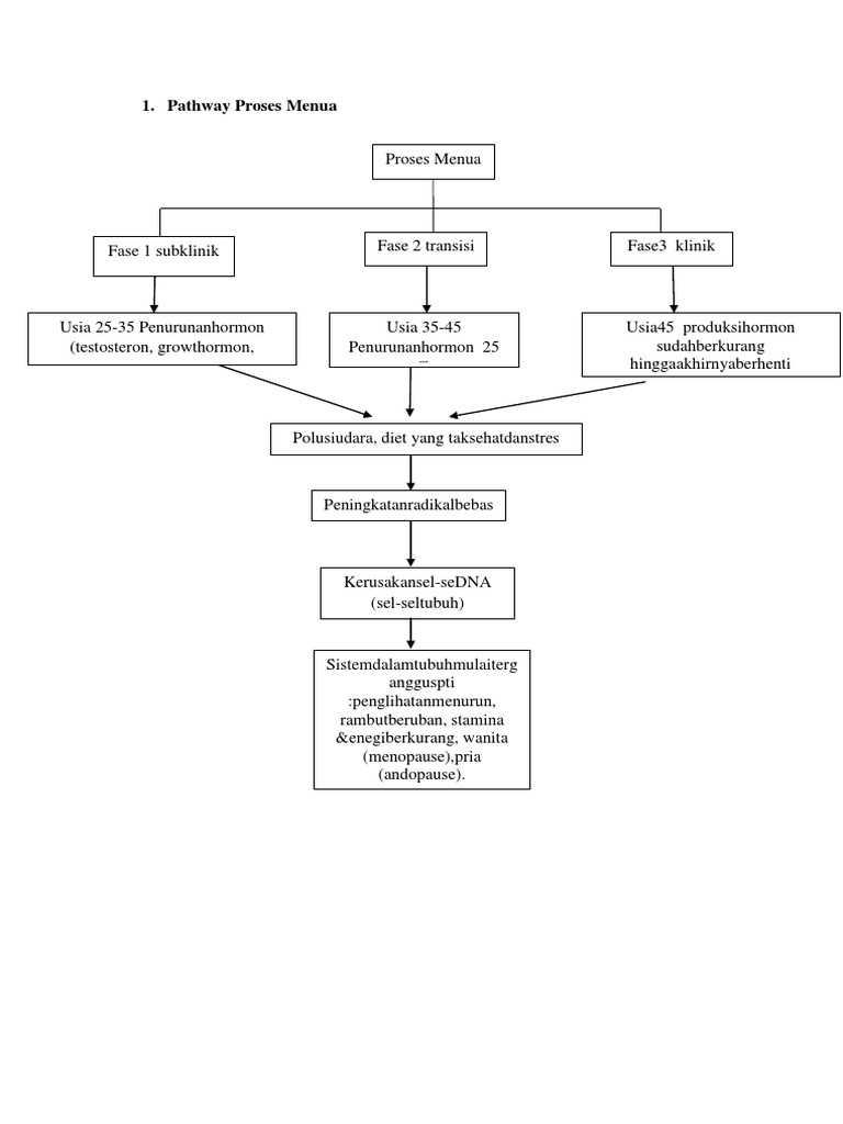 Pathway Proses Menua | PDF