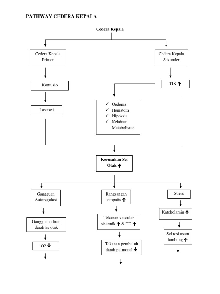 Pathway Cedera Kepala | PDF