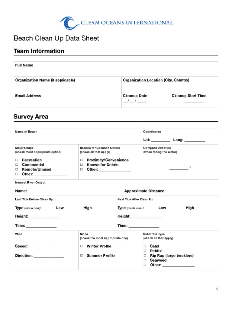 Beach Clean Up Data Sheet: Team Information | PDF | Plastic | Building ...