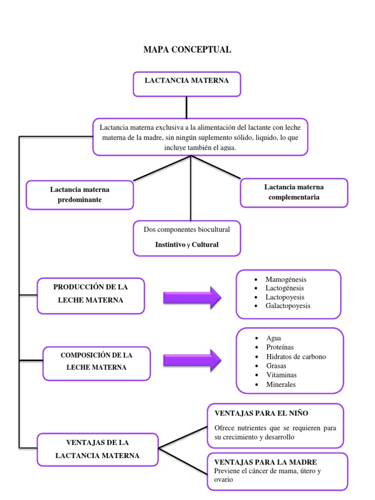 Mapa Conceptual Lecha Materna | Lactancia materna | Leche materna