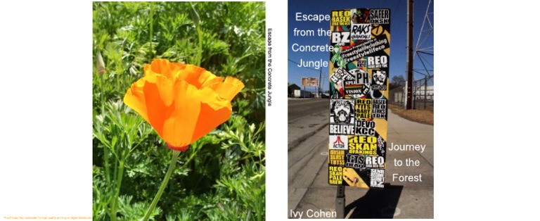 Final Book Cover | PDF