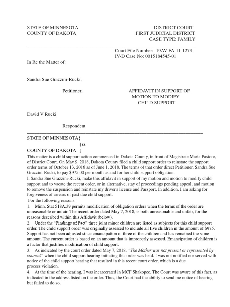 Child Support Motion | PDF | Child Support | Due Process