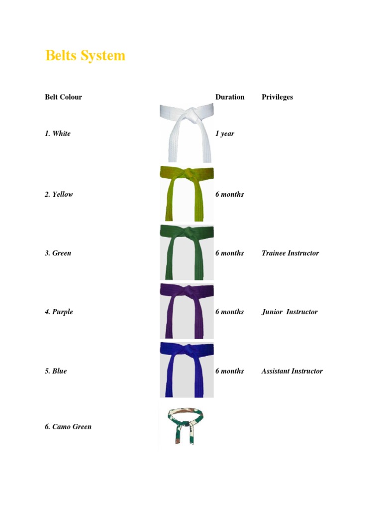 Belts System Pencak Silat | PDF | Vision | Color