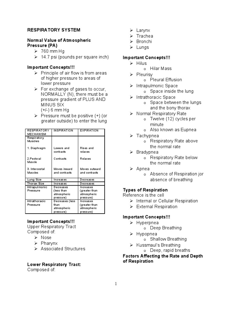 Medical Surgical Nursing II | PDF | Breathing | Respiratory System