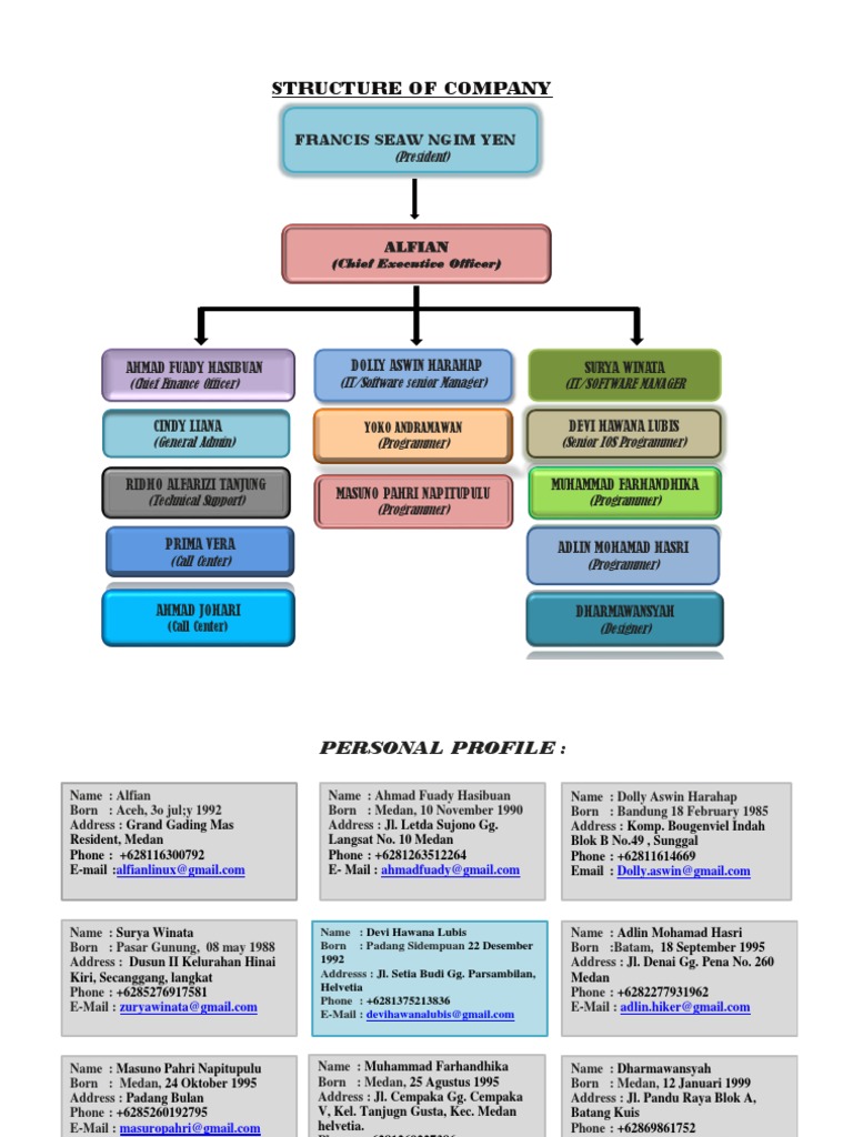 Structure of Company | PDF