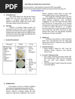 Perbedaan Kapang Dan Khamir (Mould and Yeast) | PDF