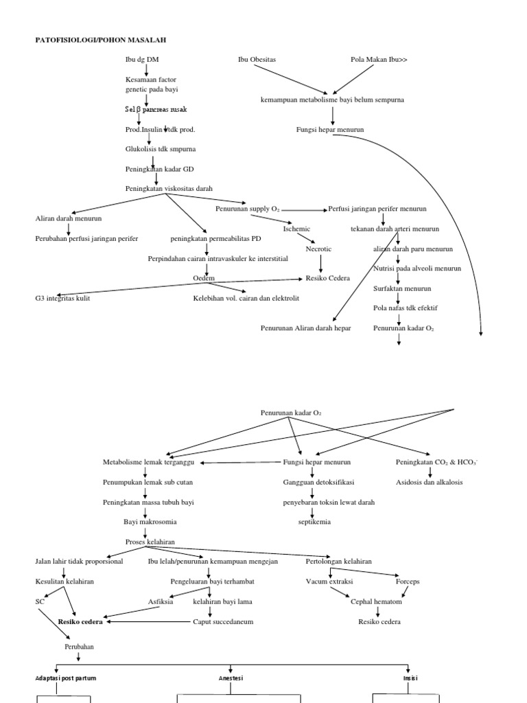 Pathway Bayi Bsar | PDF